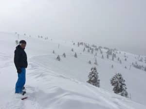 22 Different Types Of Snow On The Mountain