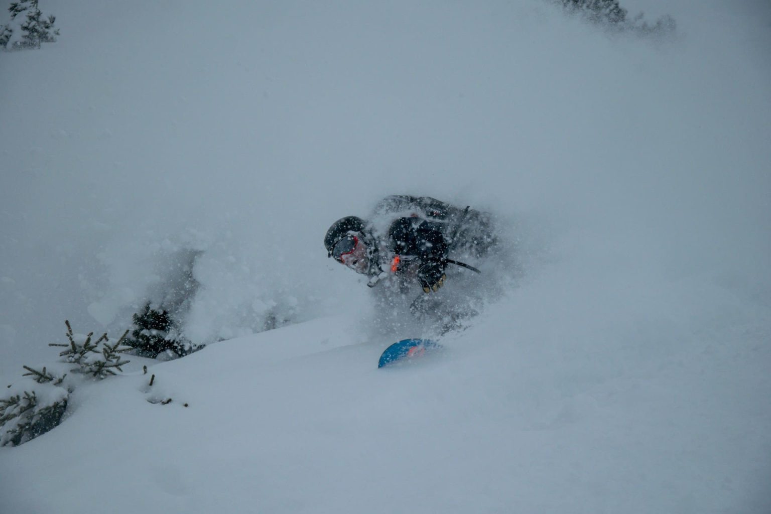 Skis or Snowboard for Powder? (An Instructor’s Honest Take)